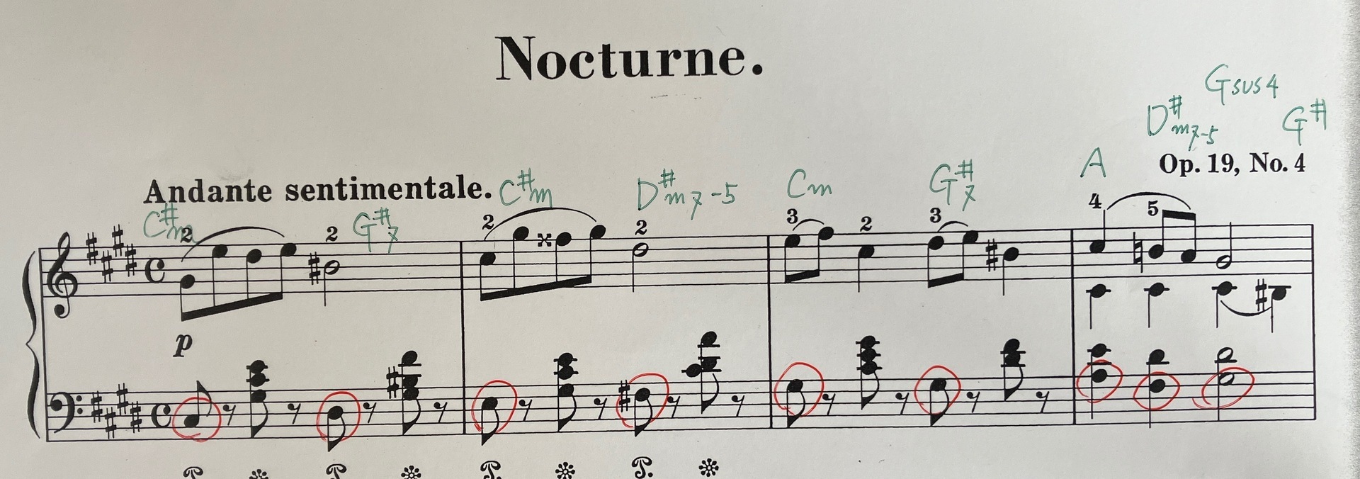 チャイコフスキーのノクターンOp.19 No.4。: my promenade